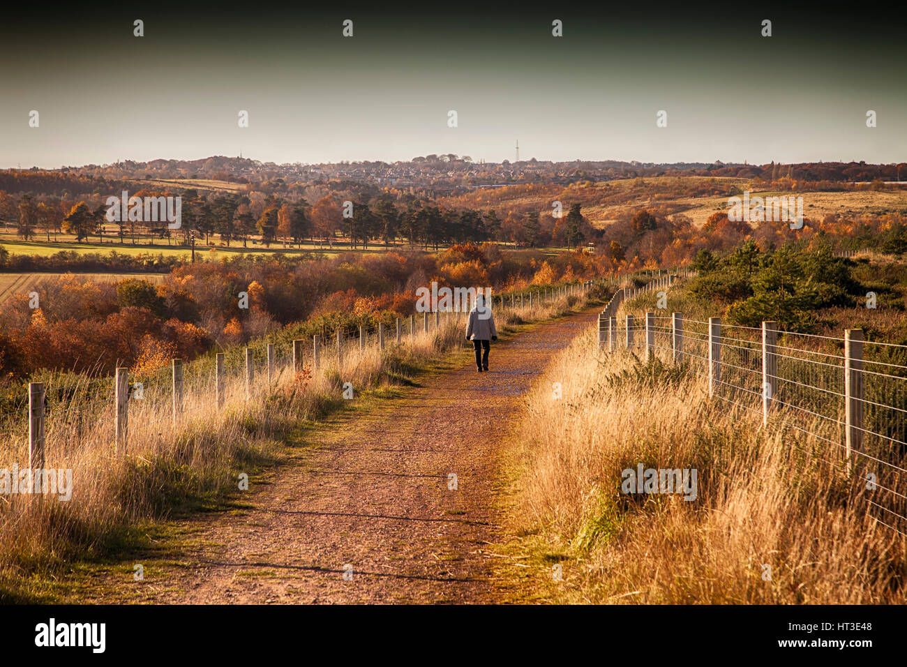 Nottinghamshire countryside hi-res stock photography and images - Alamy