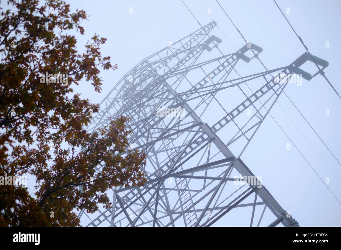 A tall powerline tower disappearing into the fog and a tree on the ...