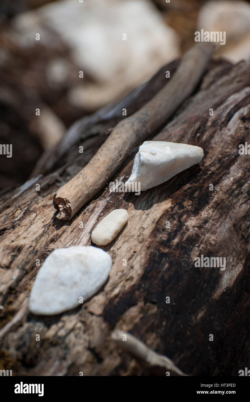 Sticks And Stones High Resolution Stock Photography and Images - Alamy