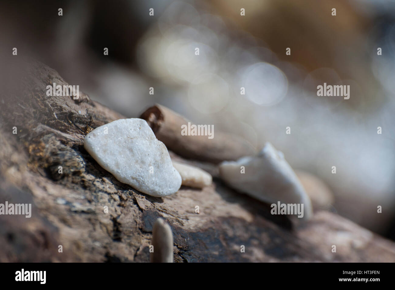 Sticks and Stones Stock Photo - Alamy