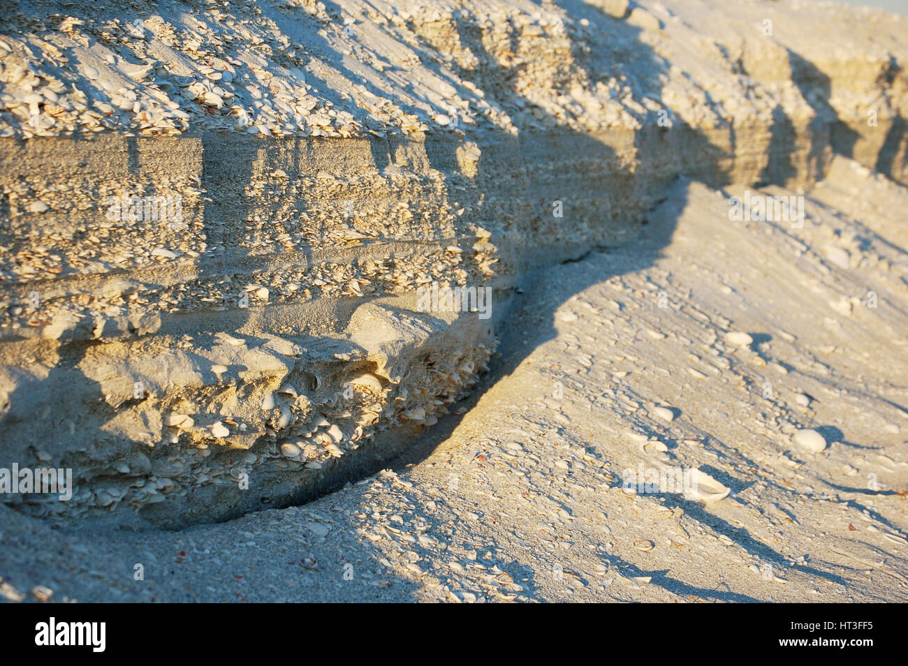 Layers of Sand and Seashells on Sanibel Island Stock Photo - Alamy