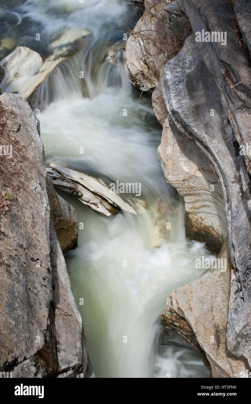 Swift motion hi-res stock photography and images - Alamy