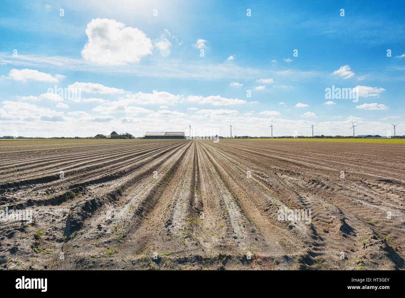 An empty field with markings prepared for planting Stock Photo - Alamy