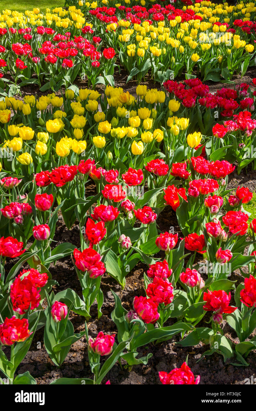 spring landscape. Spring nature background. beautiful garden Stock ...