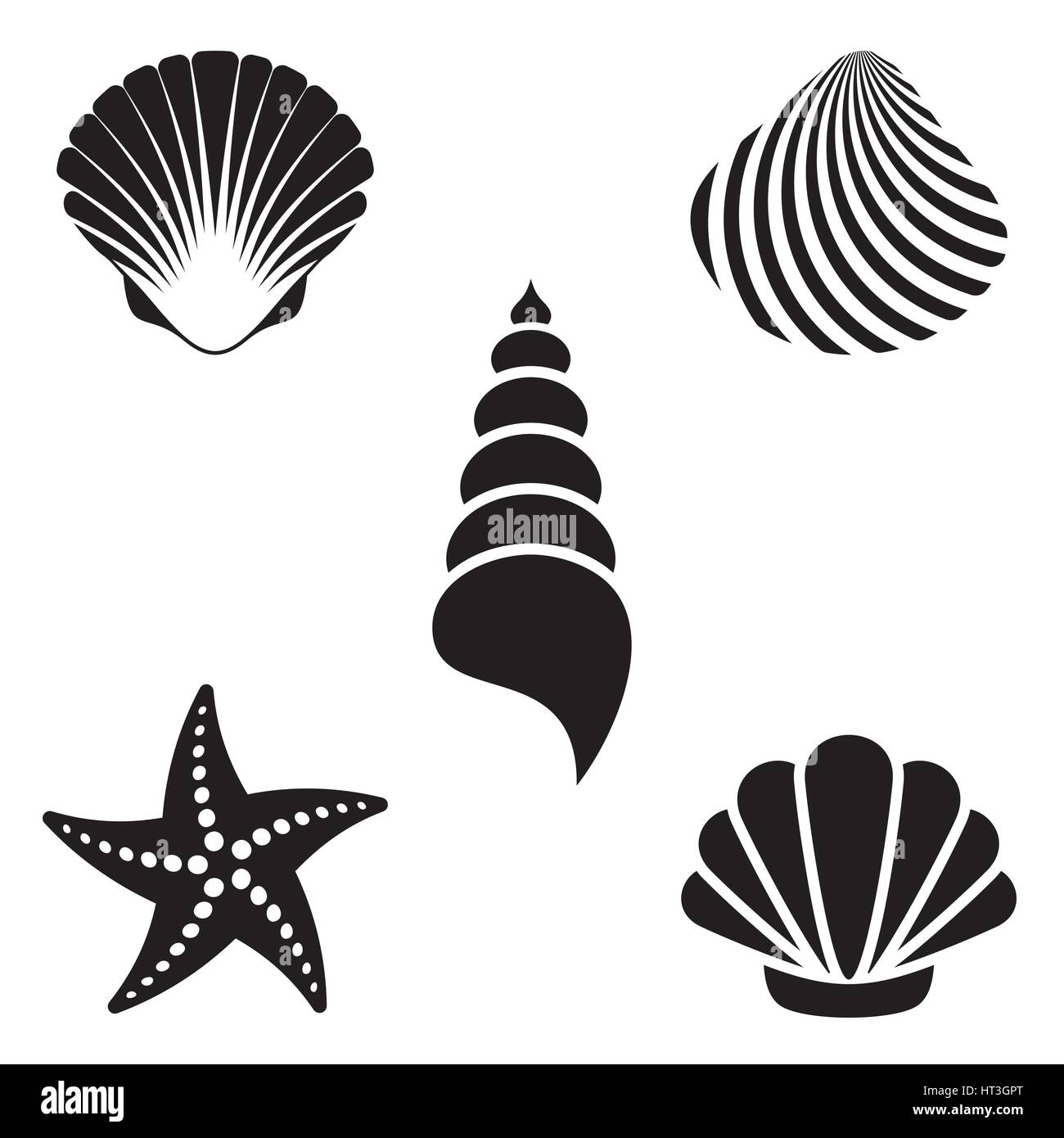 Sea shells Stock Vector Image & Art - Alamy