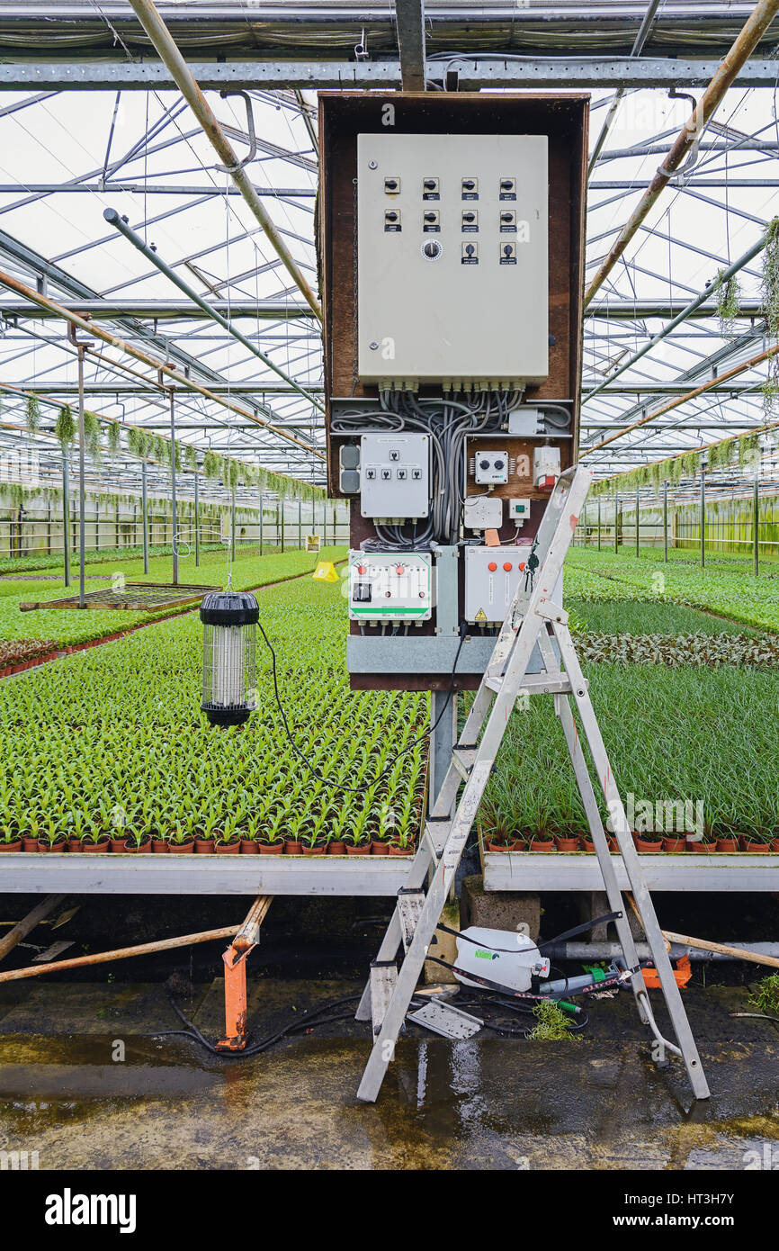 Box with automatic control for greenhouses Stock Photo - Alamy