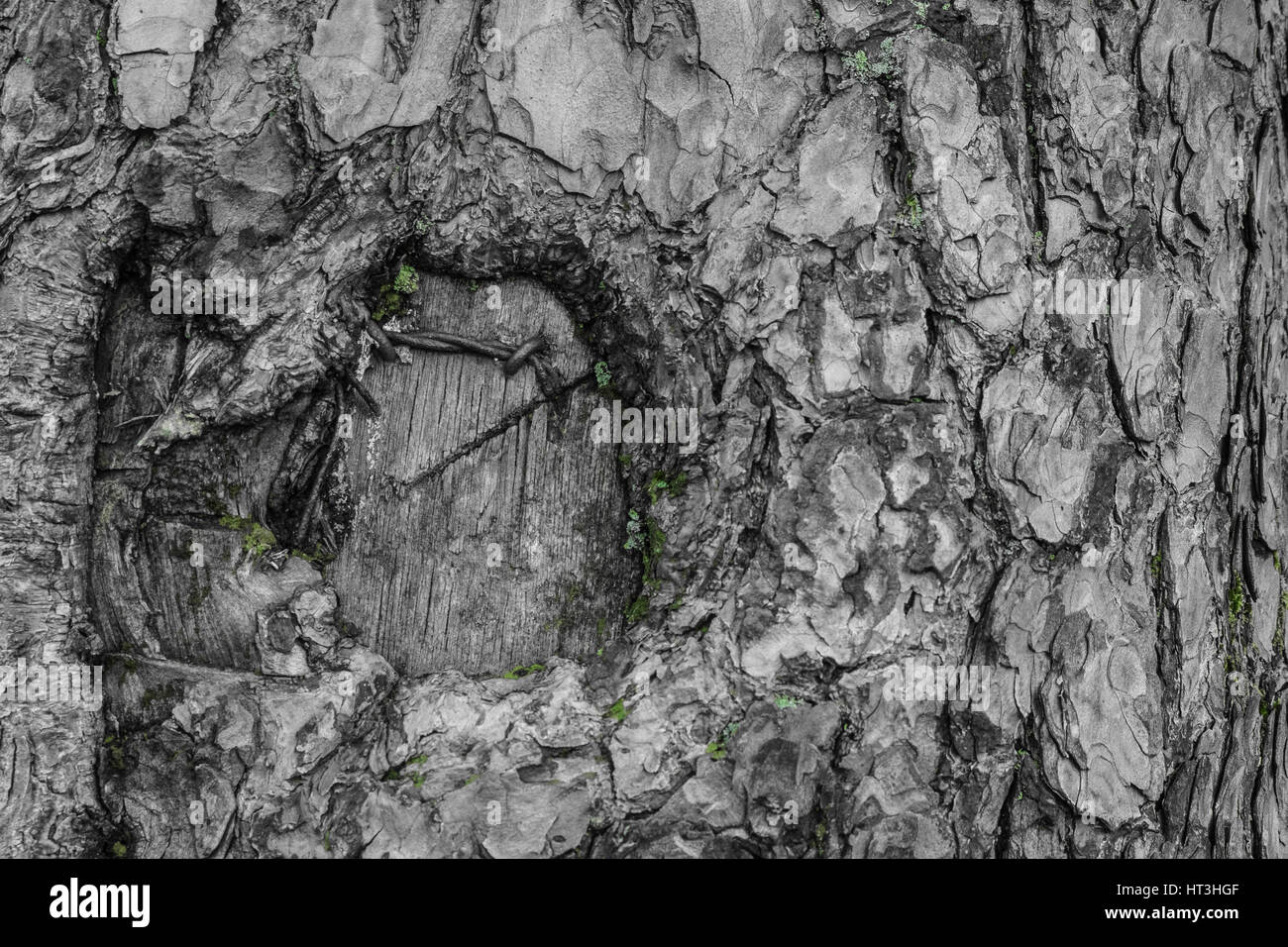 Embedded background hi-res stock photography and images - Alamy