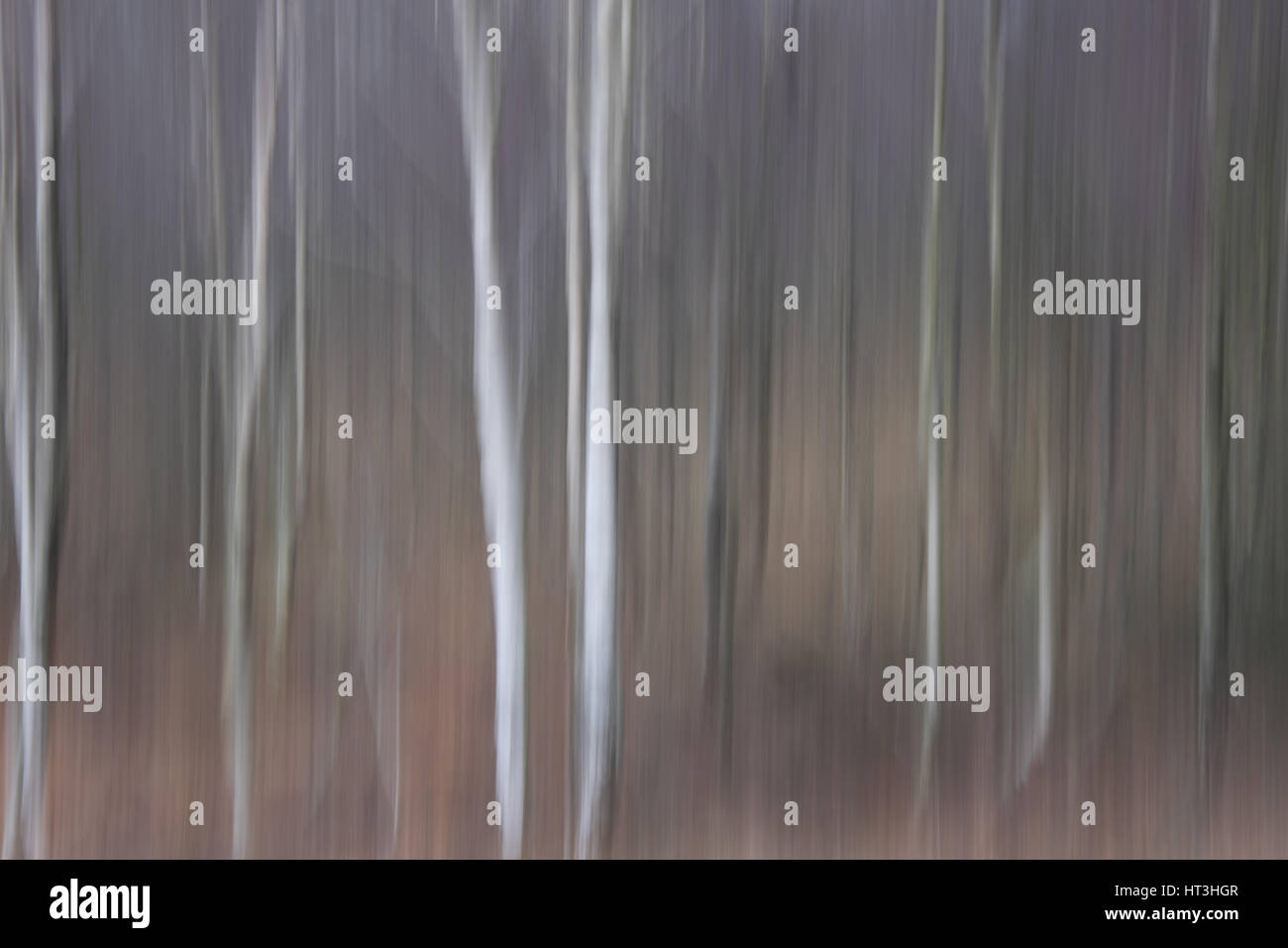 Soft focus landscape hi-res stock photography and images - Alamy