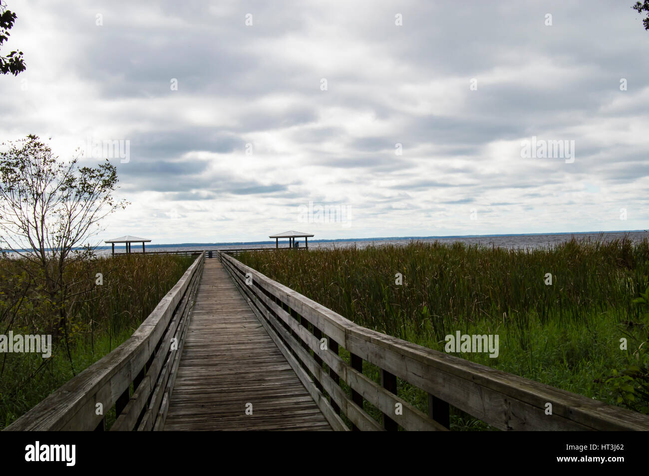 Long Dock Out to Lake in Florida Stock Photo - Alamy