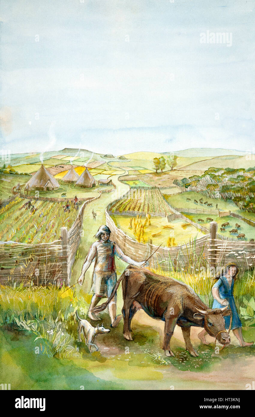 Judith dobie hi-res stock photography and images - Alamy