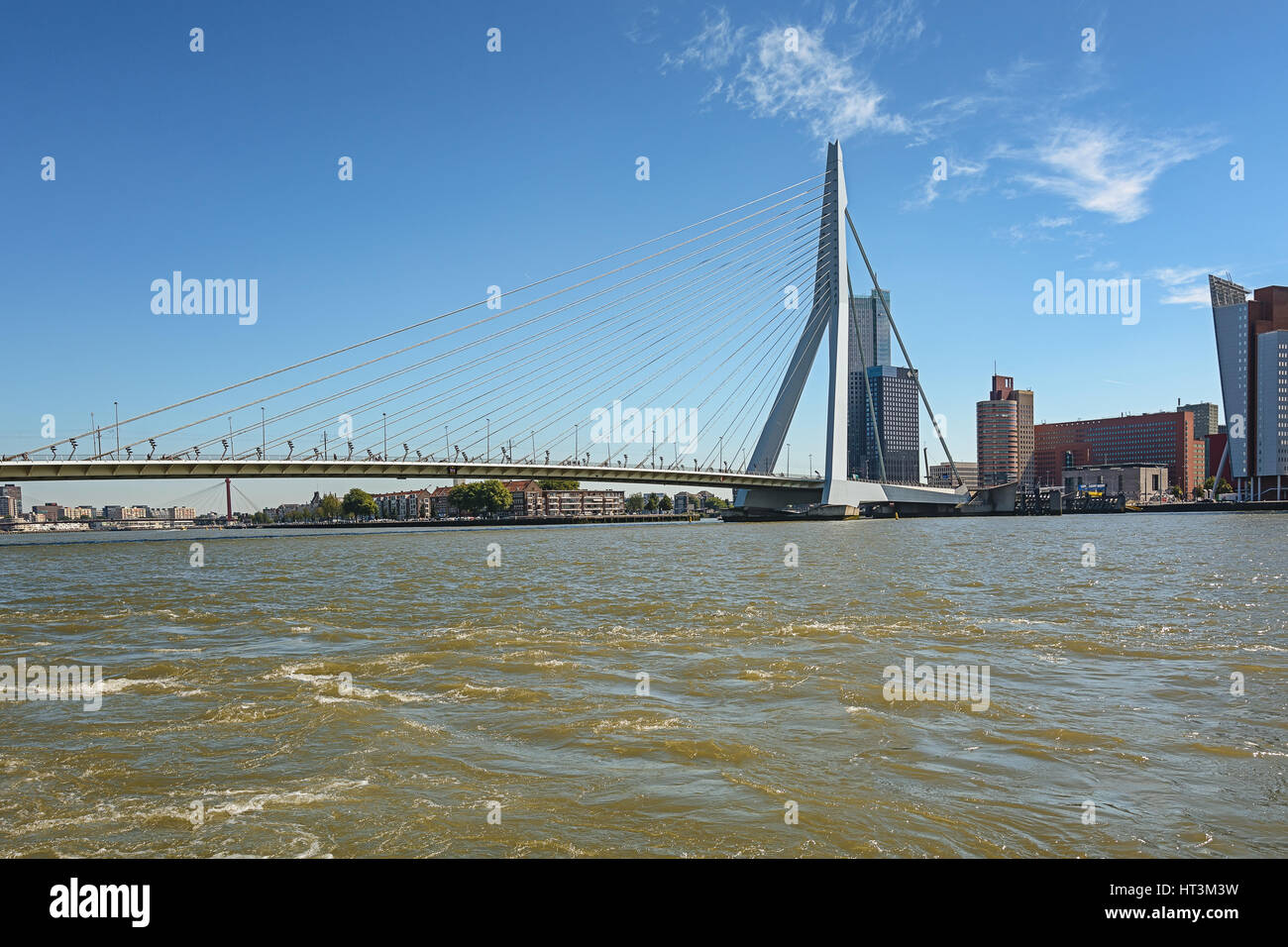 Picture of the Erasmus bridge with on the right de building Tower on ...
