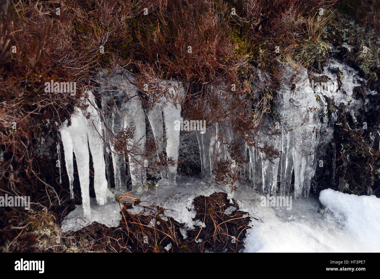 Frozen moorland hi-res stock photography and images - Alamy
