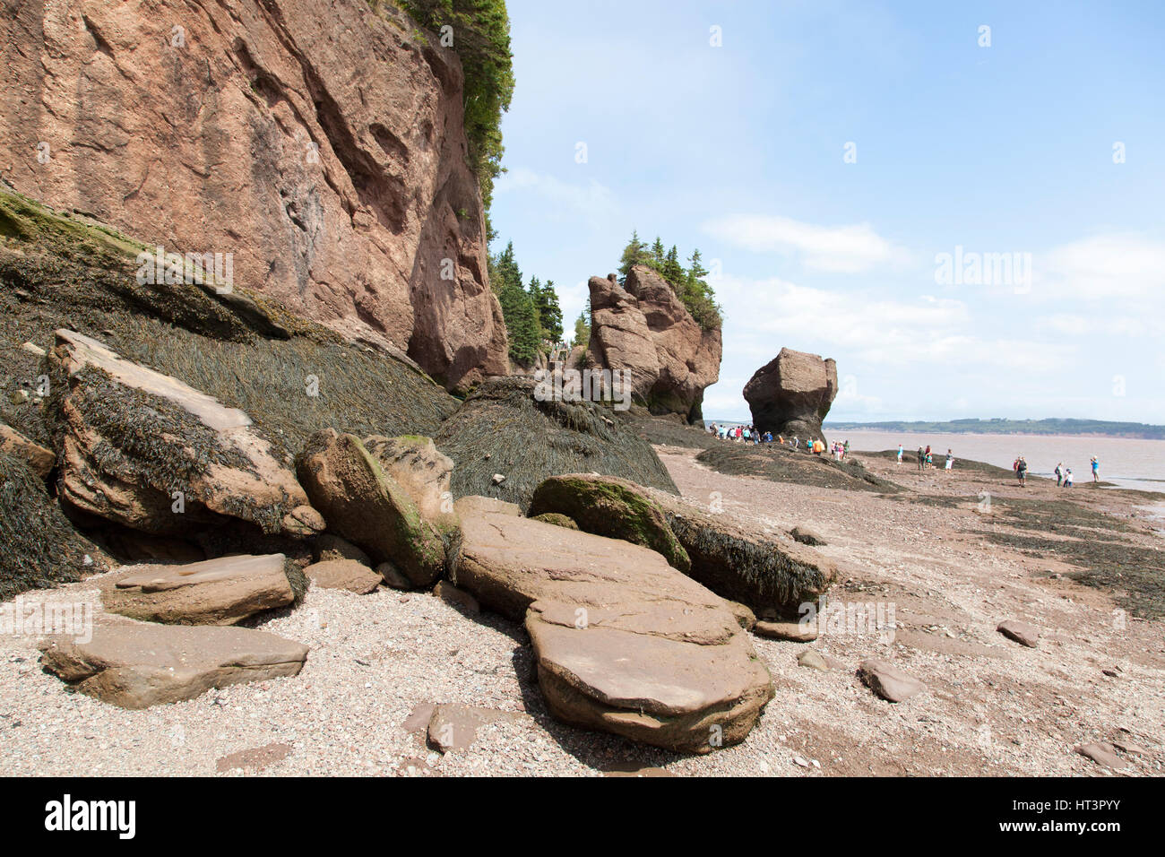 The view of eroded rocks on Hopewell Rocks beach famous for it's ...