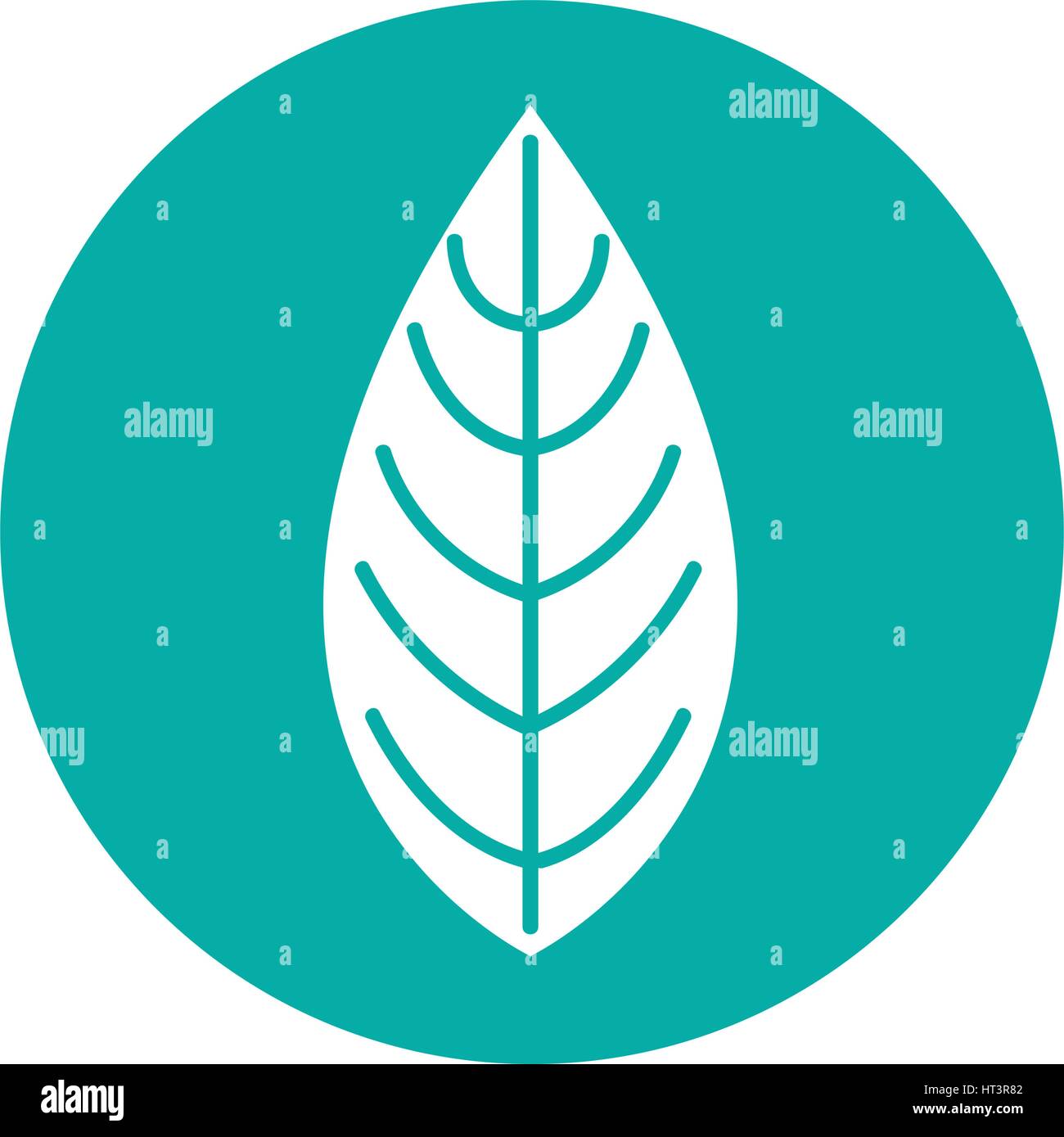 leafs plant natural icon Stock Vector Image & Art - Alamy
