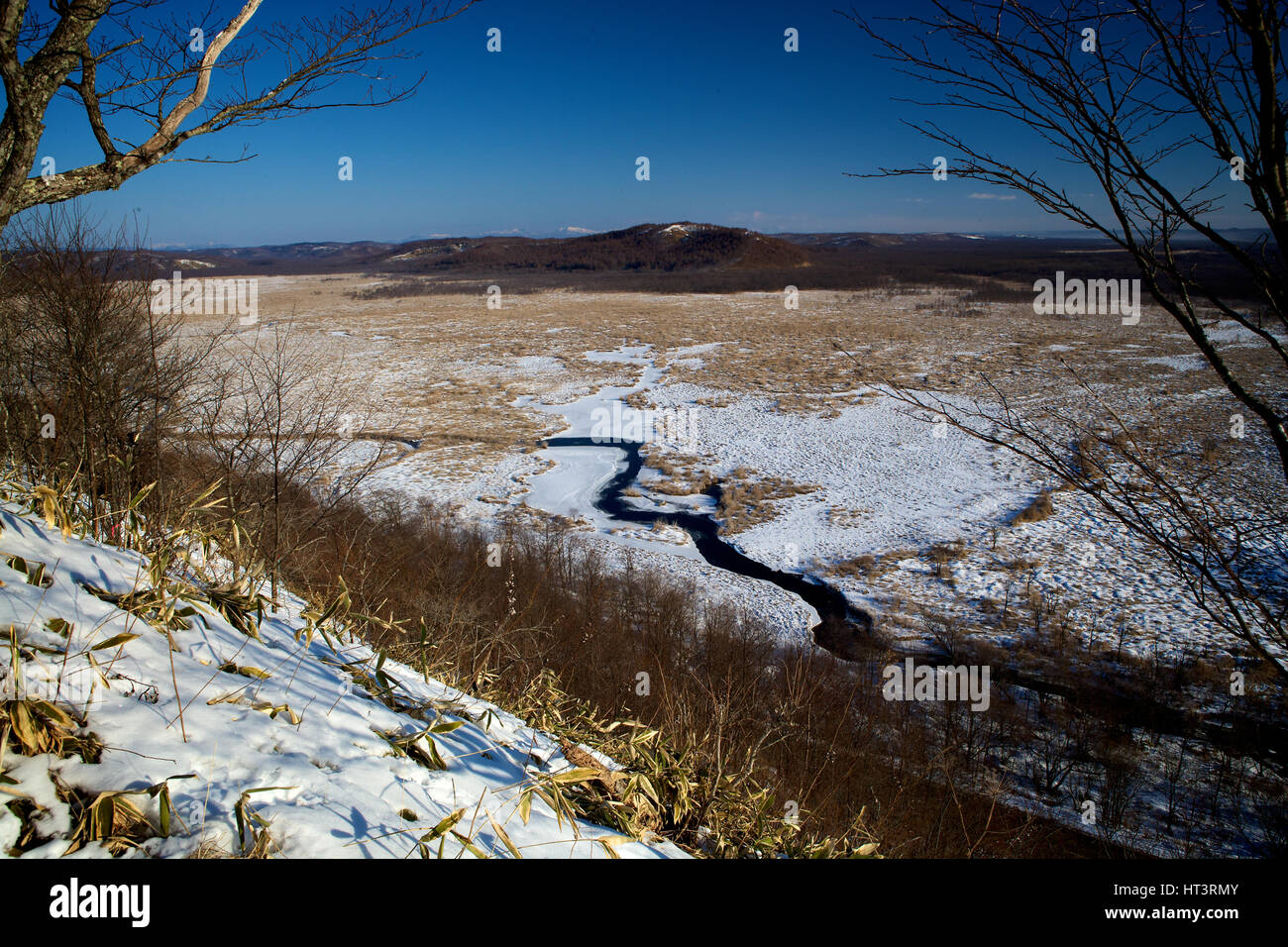 Kushiroshitsugen national park hi-res stock photography and images - Alamy