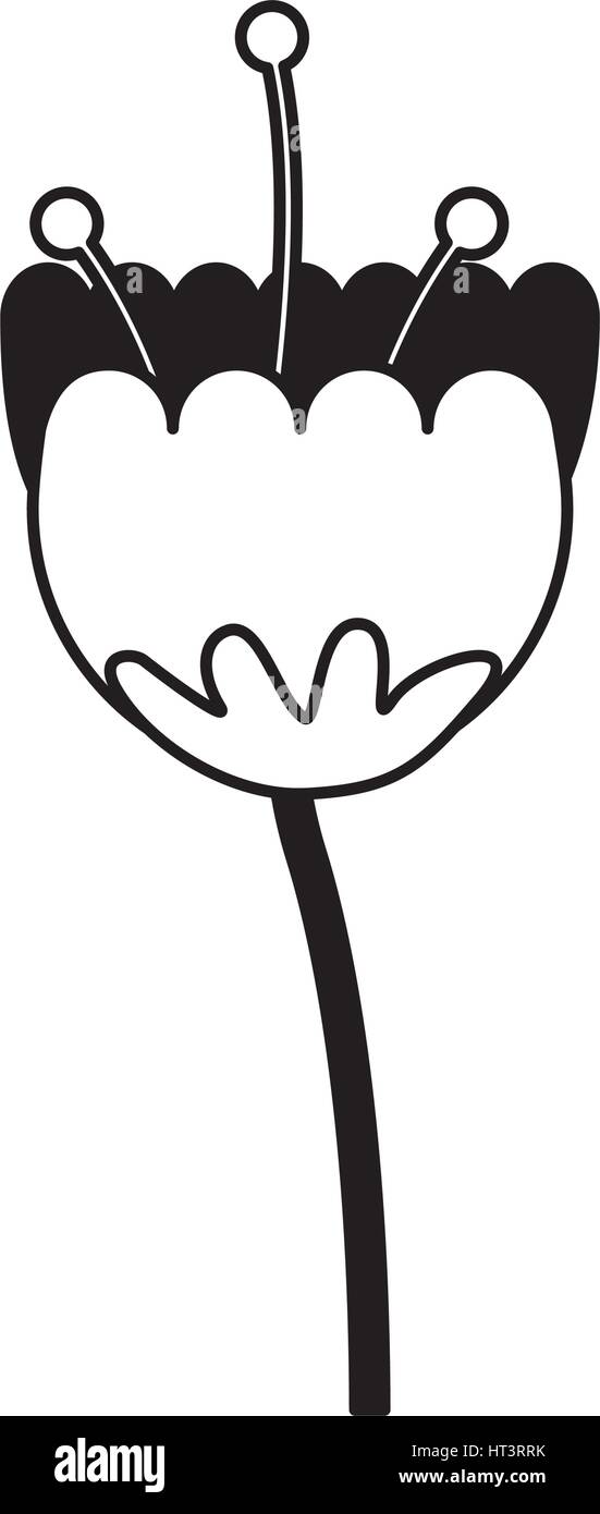 cute flower isolated icon Stock Vector Image & Art - Alamy