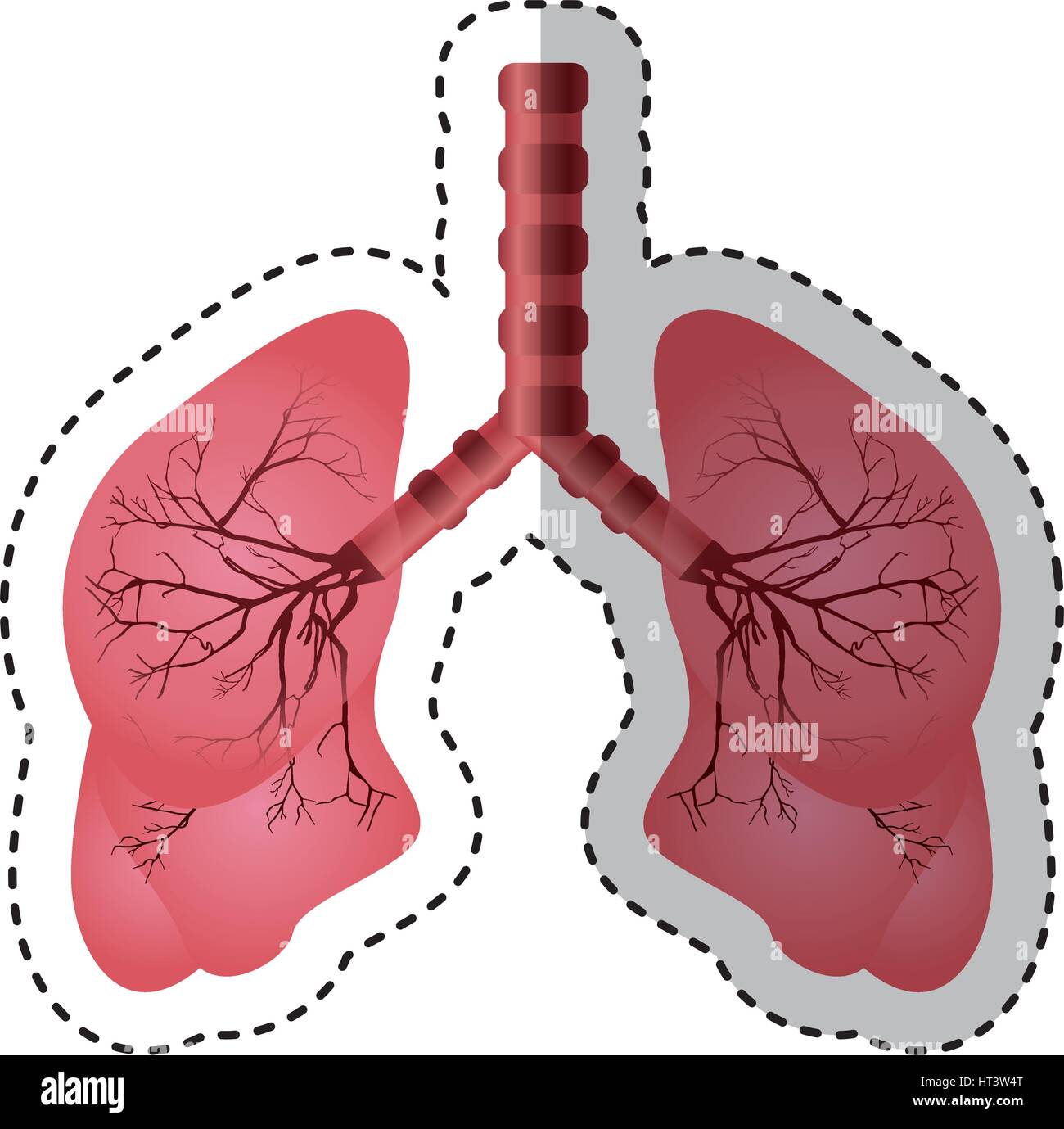 human lungs isolated icon Stock Vector Image & Art - Alamy