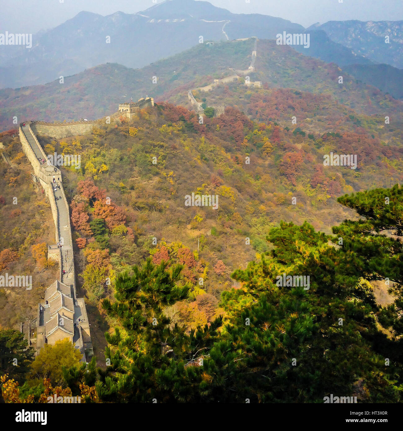 Old great wall of China on Autumn Season Stock Photo - Alamy