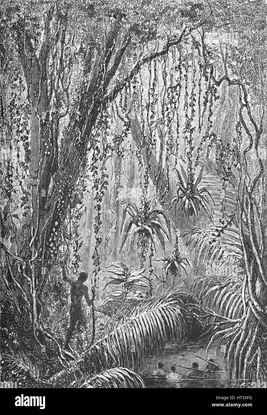 'Brazilian Forest', c1885 (1890). Artist: Robert Taylor Pritchett Stock ...