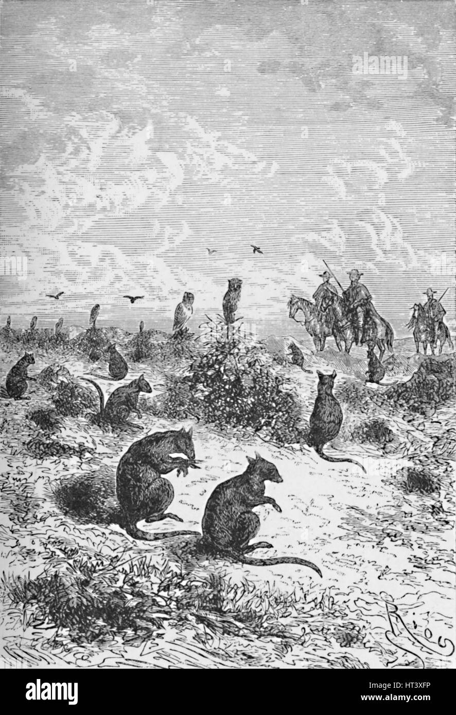 'Bizcachas', c1885, (1890). Artist: Robert Taylor Pritchett Stock Photo ...