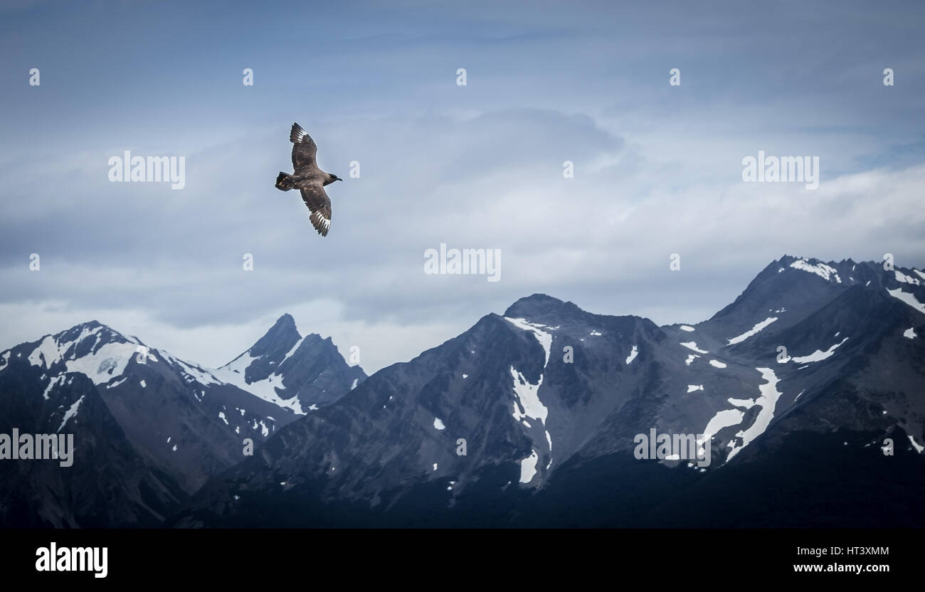 Fly over mountains hi-res stock photography and images - Alamy