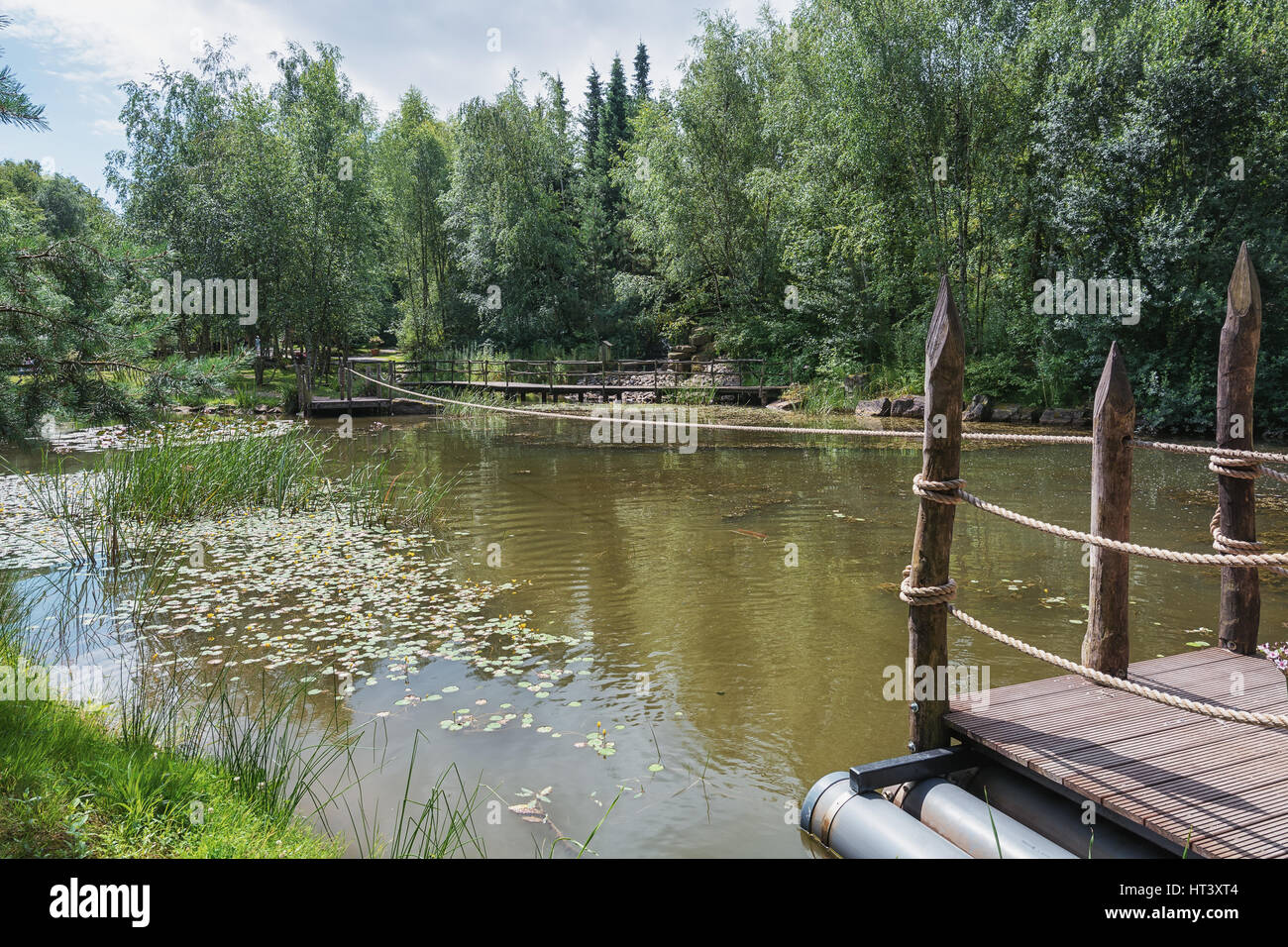 Tree house rope bridge hi-res stock photography and images - Alamy