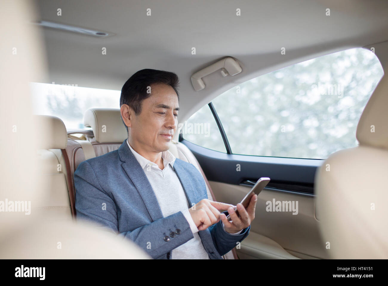 Businessman using smart phone inside car Stock Photo - Alamy