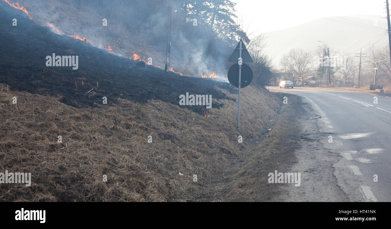 wildfrire - dry grass burning in early spring Stock Photo - Alamy