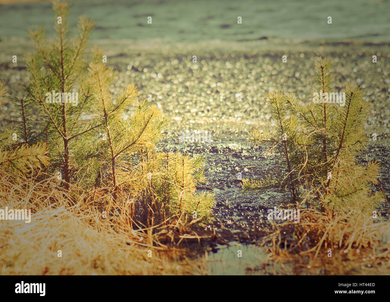 Russian Spring landscape with flooded.icy slush on the water of the ...