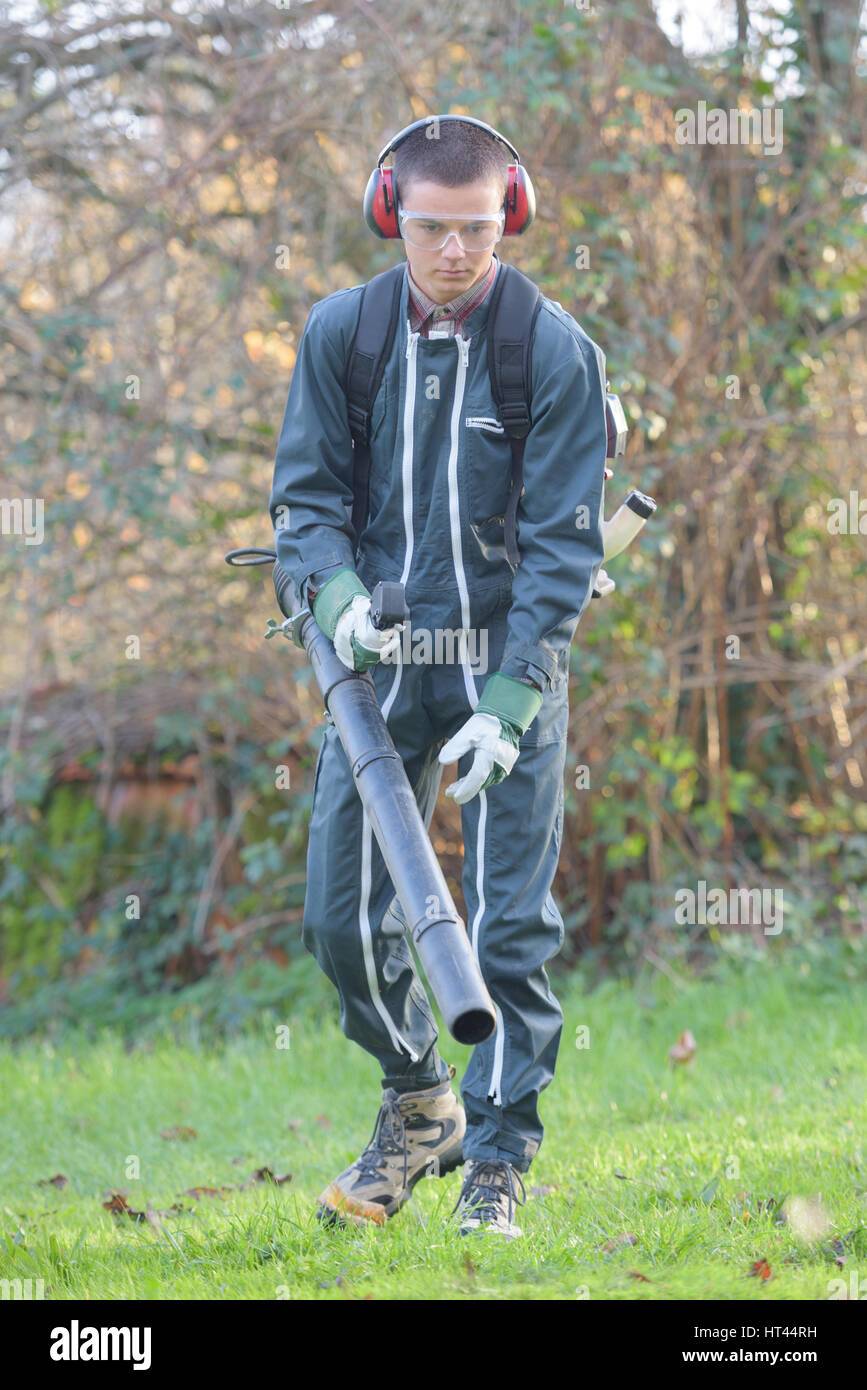 procedure in leaves collection Stock Photo - Alamy