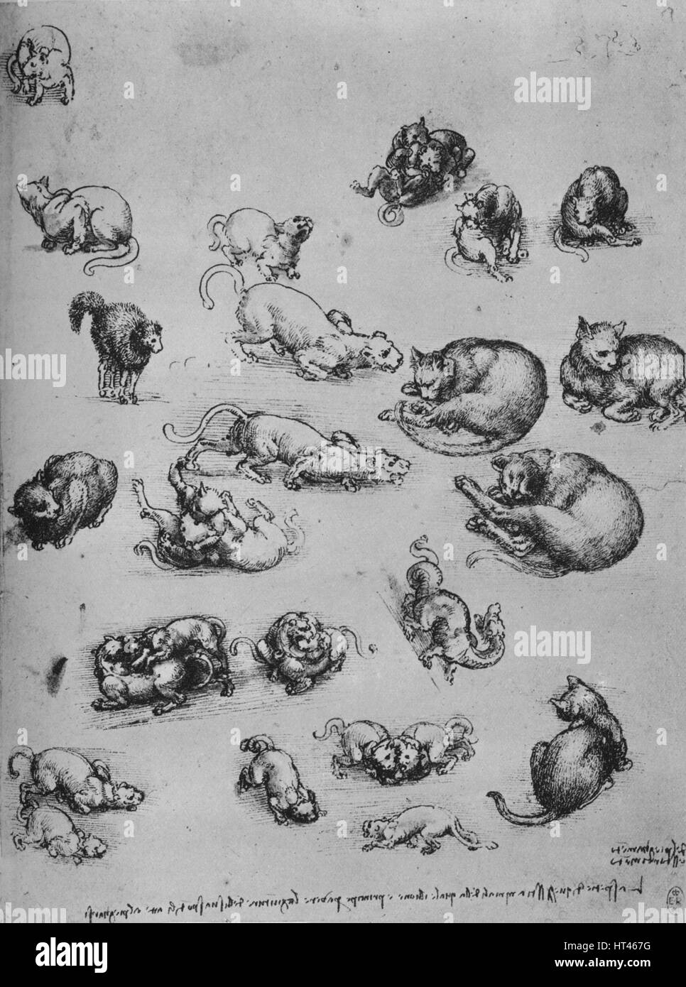 'Studies of Cats and of a Dragon', c1480 (1945). Artist: Leonardo da ...