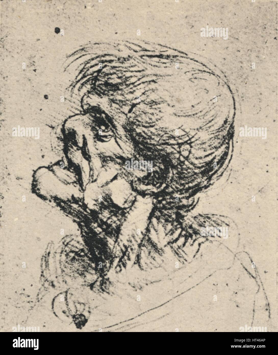 Leonardo Da Vinci Sketches Stock Photos & Leonardo Da Vinci Sketches ...