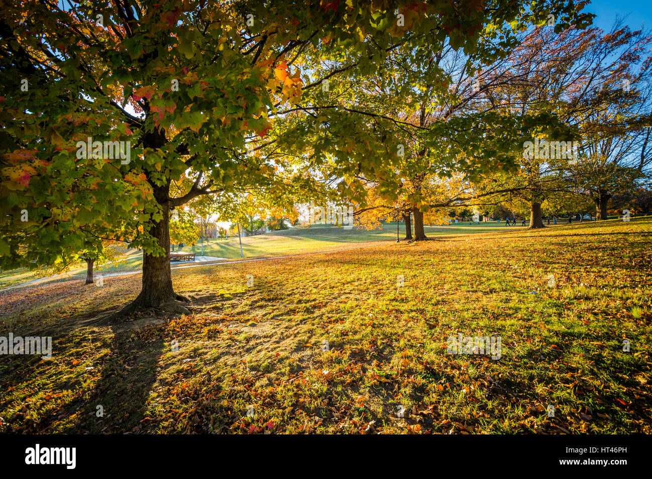 Autumn color at Patterson Park, in Baltimore, Maryland Stock Photo - Alamy