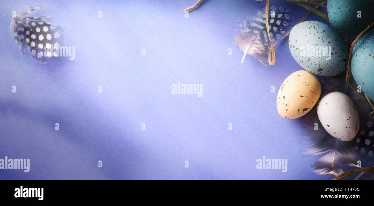 Easter background with Easter eggs and bird feather. Top view with copy ...