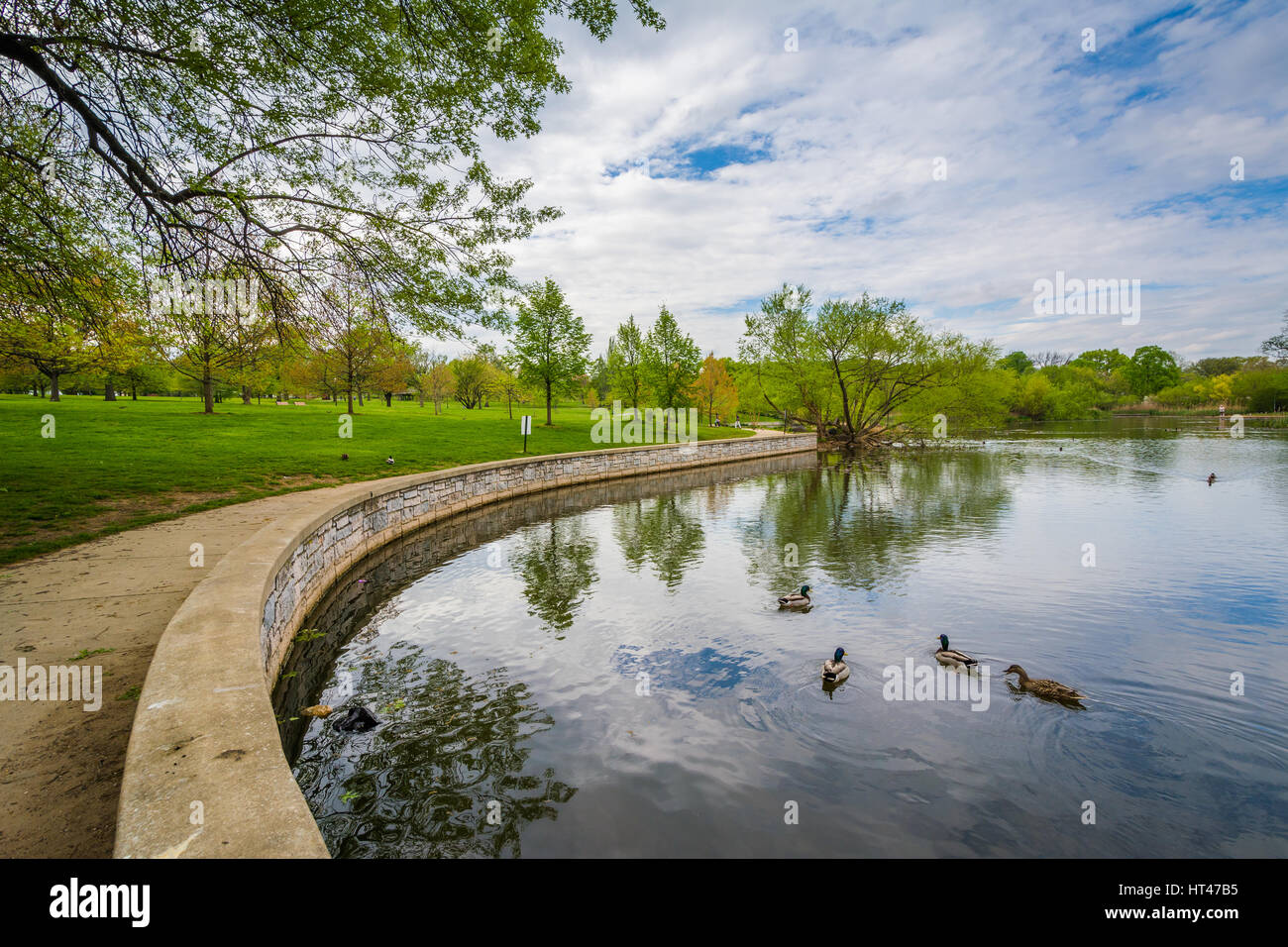 Pond at Patterson Park, in Baltimore, Maryland Stock Photo - Alamy