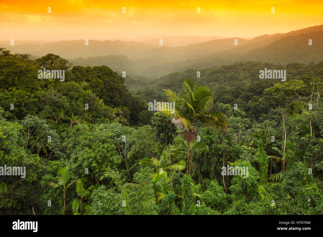 El yunque puerto rico sunset hi-res stock photography and images - Alamy