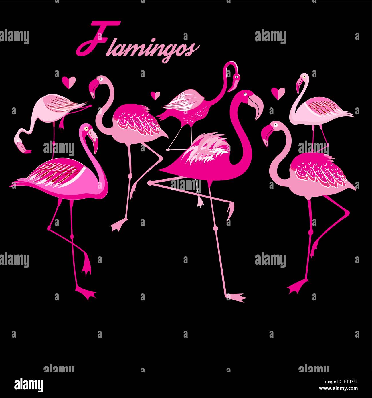 Vector group of flamingos on a dark background Stock Vector Image & Art ...