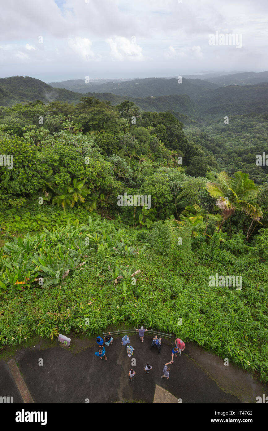 Rain forest canopy puerto rico hi-res stock photography and images - Alamy