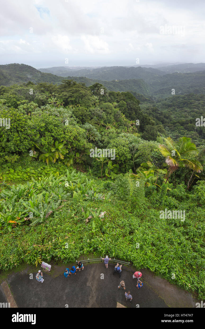 ABOVE VISITORS AT YOKAHU OBSERVATION TOWER RAIN FOREST CANOPY EL YUNQUE ...