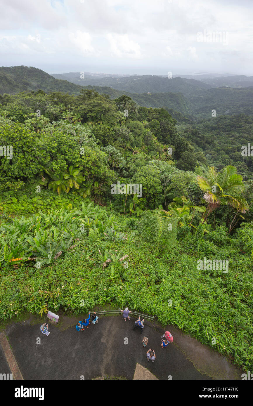 ABOVE VISITORS AT YOKAHU OBSERVATION TOWER RAIN FOREST CANOPY EL YUNQUE ...