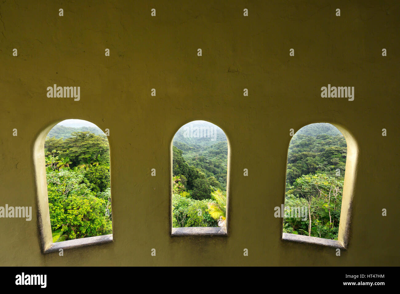 WINDOWS YOKAHU OBSERVATION TOWER EL YUNQUE NATIONAL FOREST RIO GRANDE ...