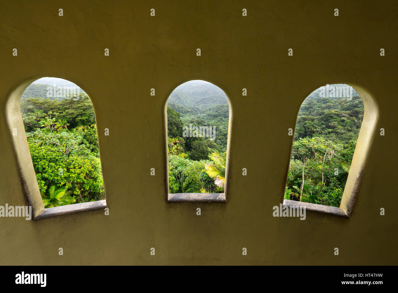 WINDOWS YOKAHU OBSERVATION TOWER EL YUNQUE NATIONAL FOREST RIO GRANDE ...