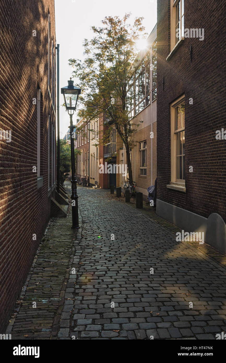 Narrow street with lantern in the historic center of the city of ...