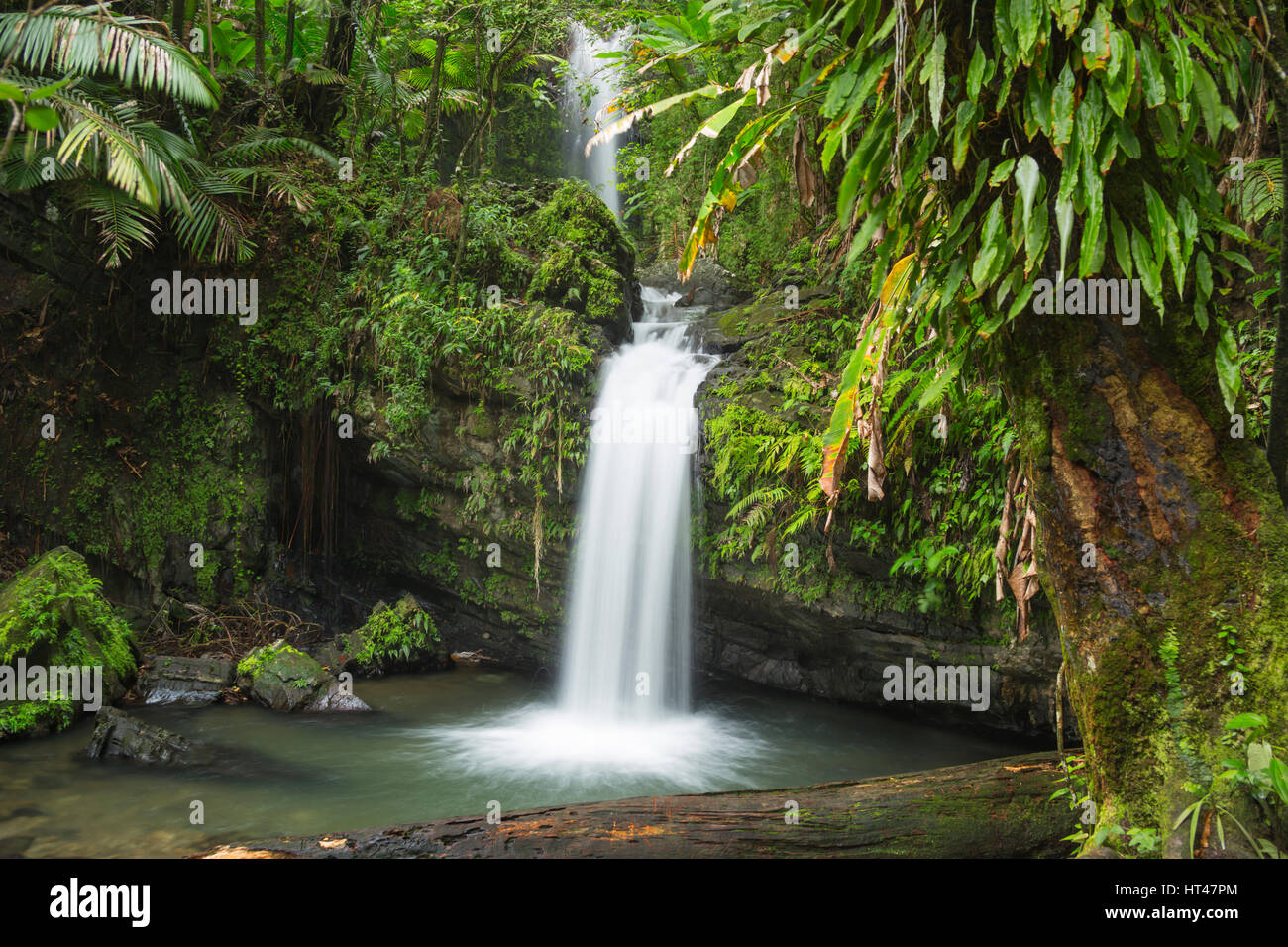 JUAN DIEGO WATERFALLS EL YUNQUE NATIONAL FOREST RIO GRANDE PUERTO RICO ...