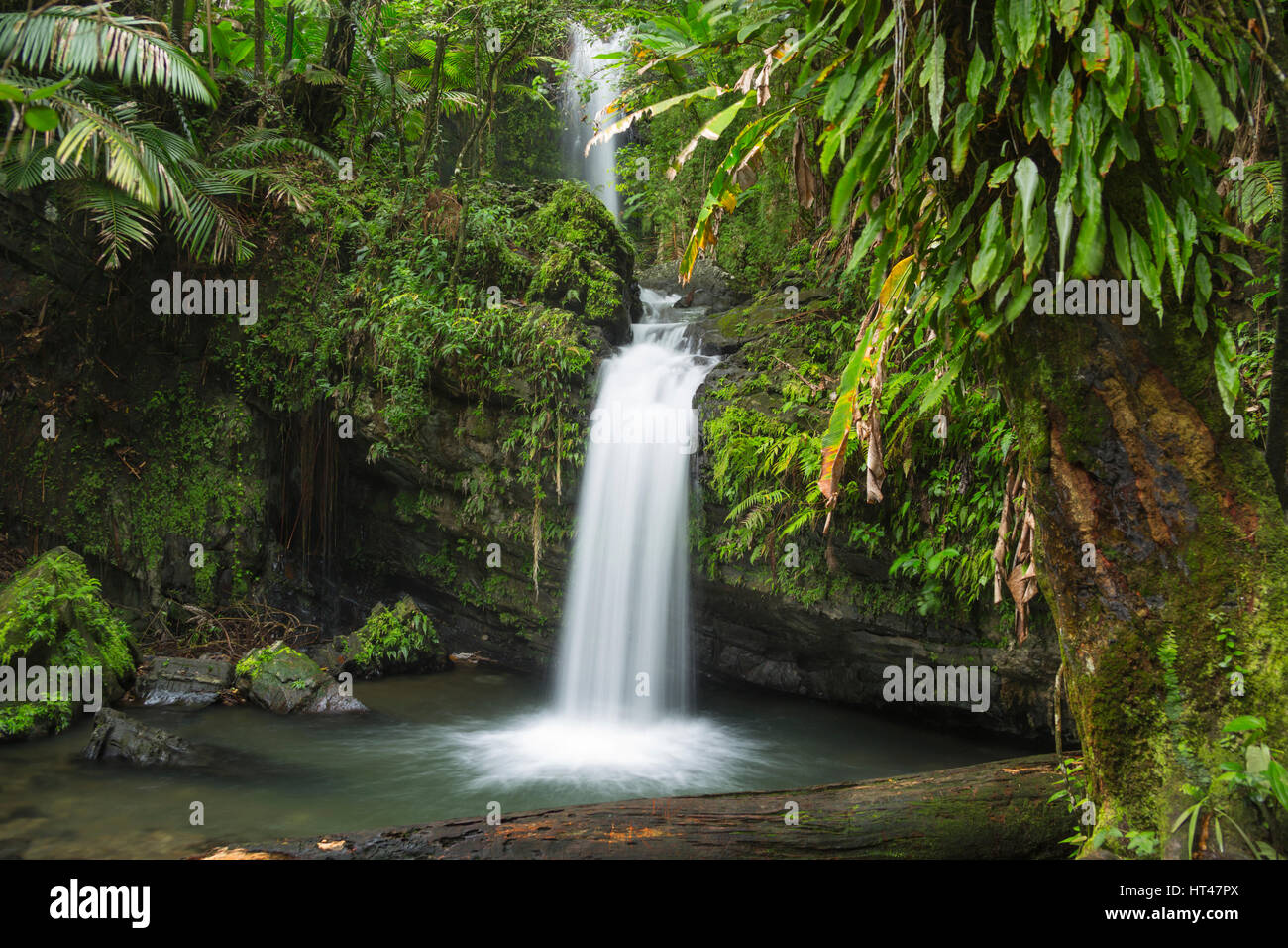 JUAN DIEGO WATERFALLS EL YUNQUE NATIONAL FOREST RIO GRANDE PUERTO RICO ...