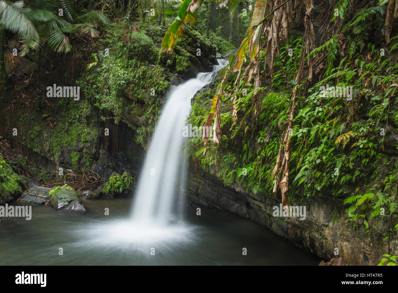 JUAN DIEGO WATERFALLS EL YUNQUE NATIONAL FOREST RIO GRANDE PUERTO RICO ...