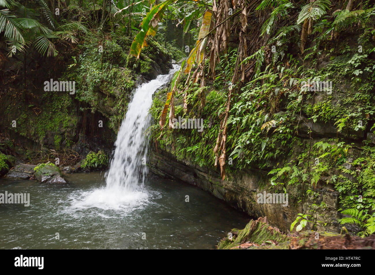 El yunque waterfalls hi-res stock photography and images - Alamy