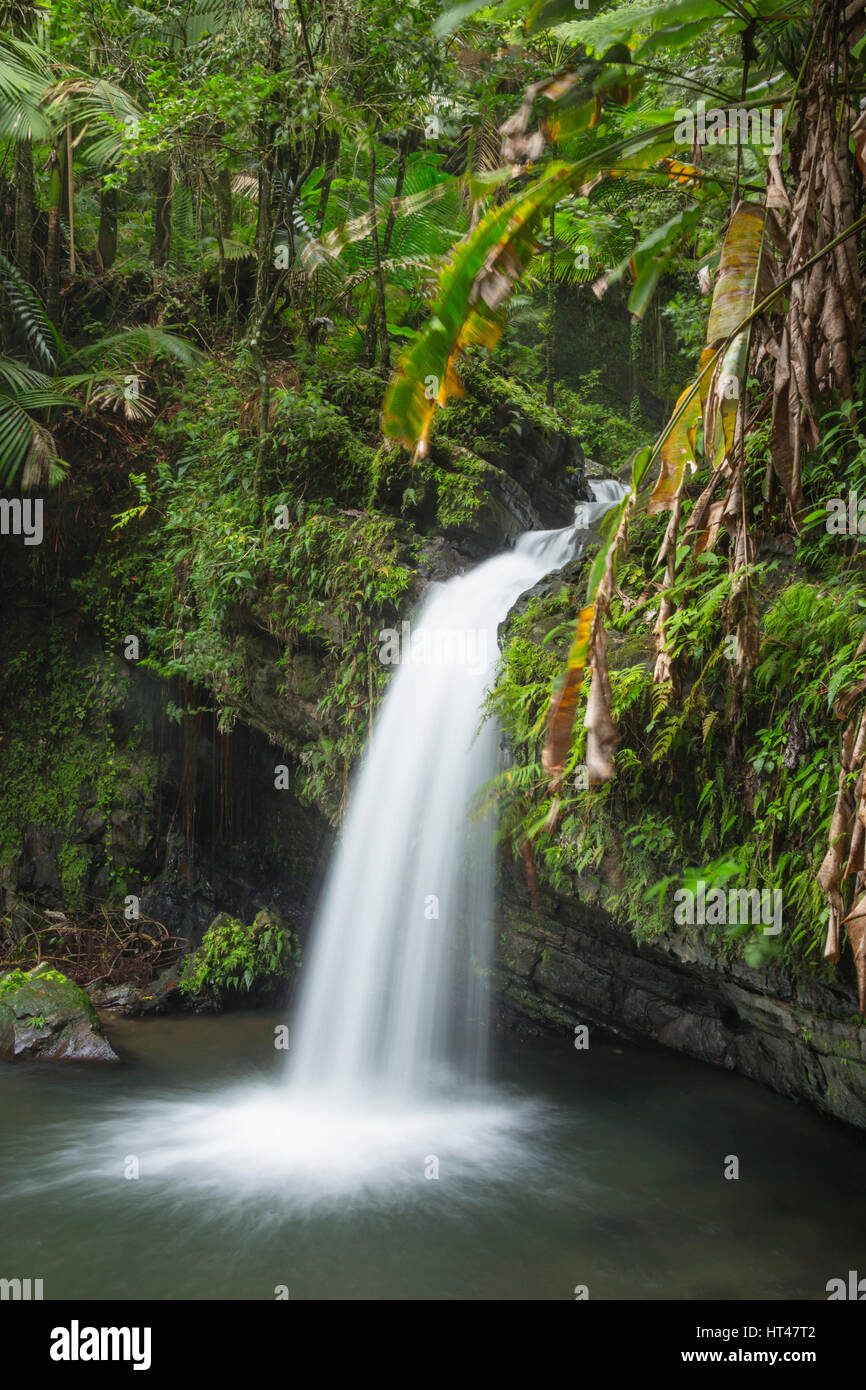 JUAN DIEGO WATERFALLS EL YUNQUE NATIONAL FOREST RIO GRANDE PUERTO RICO ...