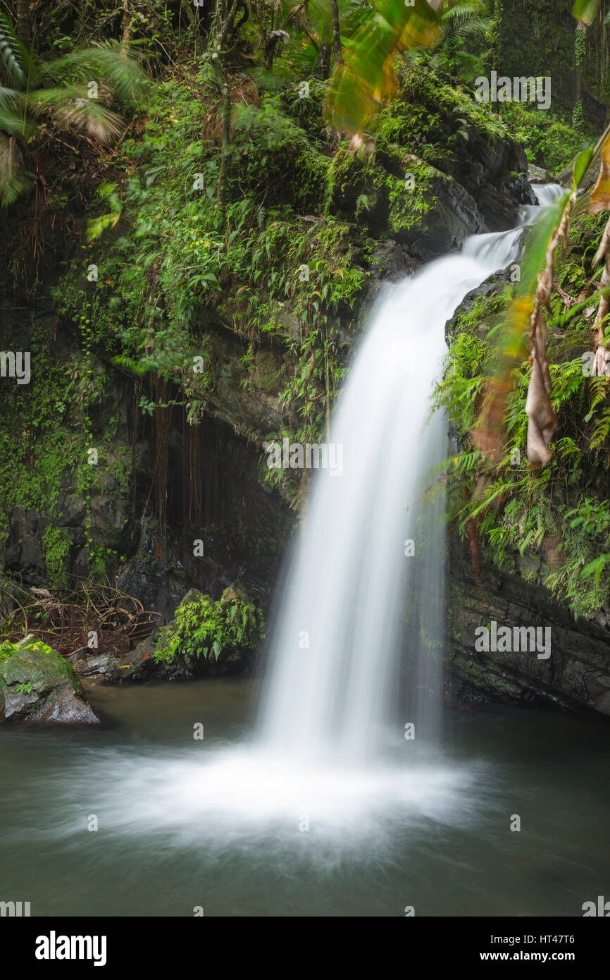JUAN DIEGO WATERFALLS EL YUNQUE NATIONAL FOREST RIO GRANDE PUERTO RICO ...
