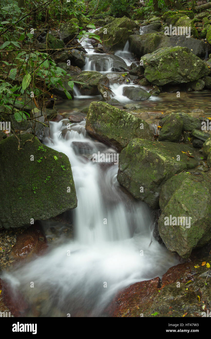 SMALL CASCADE EL YUNQUE NATIONAL FOREST RIO GRANDE PUERTO RICO Stock ...